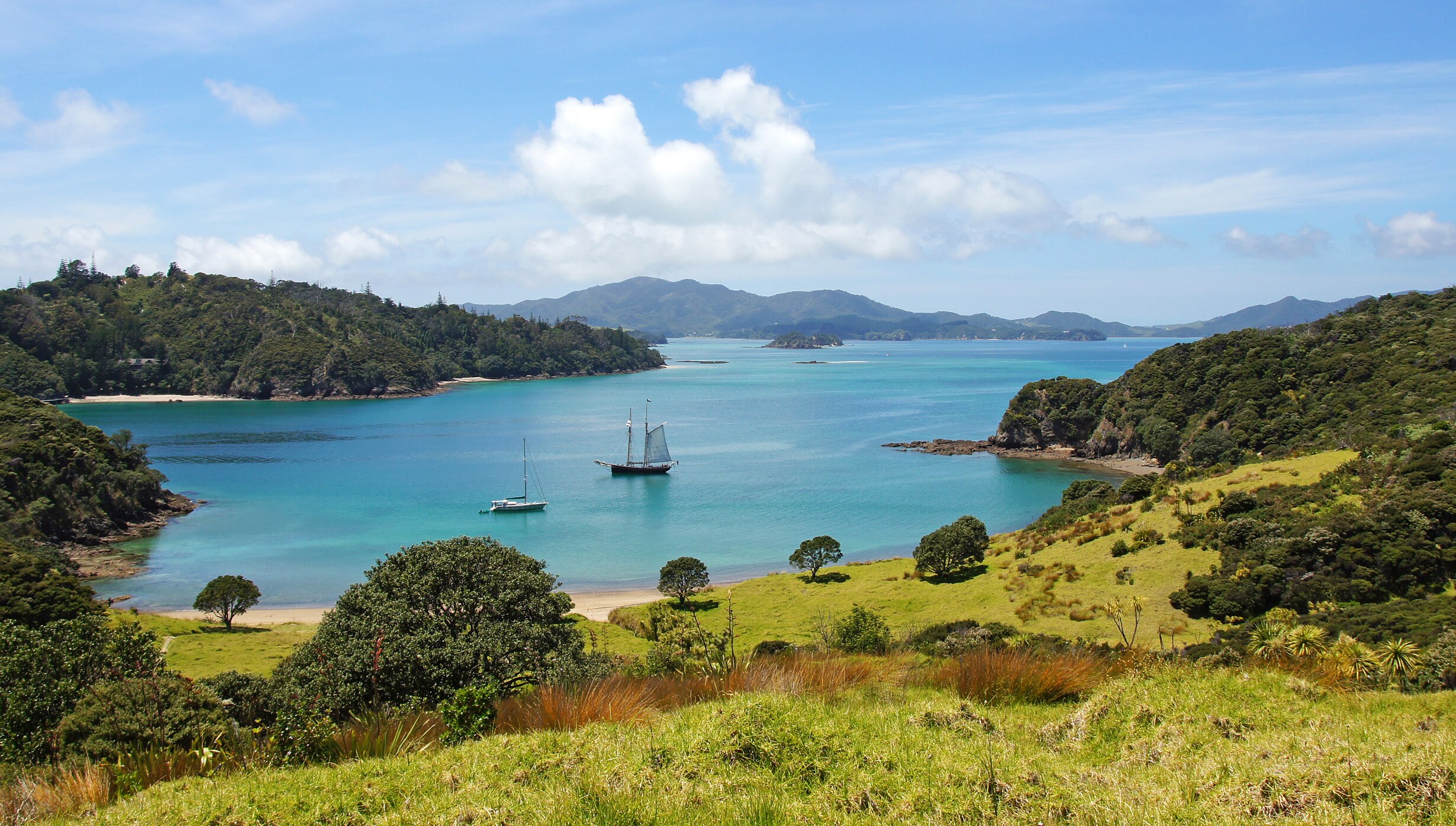 Bay of Islands attractions: cruise to New Zealand | MSC Cruises